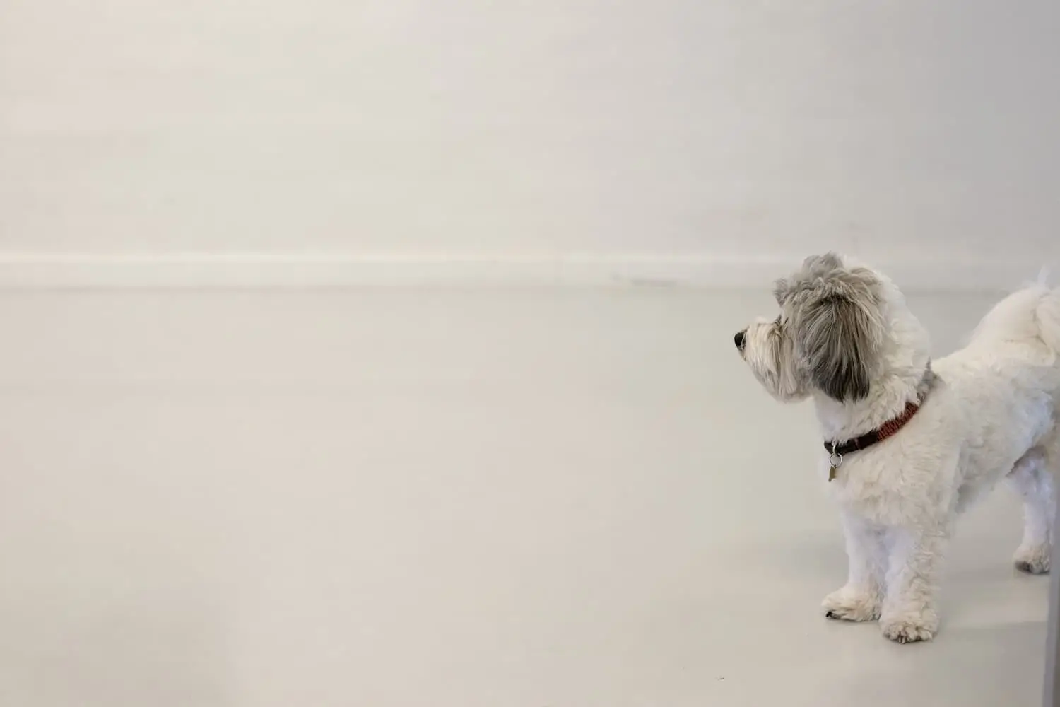 Nordic Insurance Software | Great Place To Work® Denmark